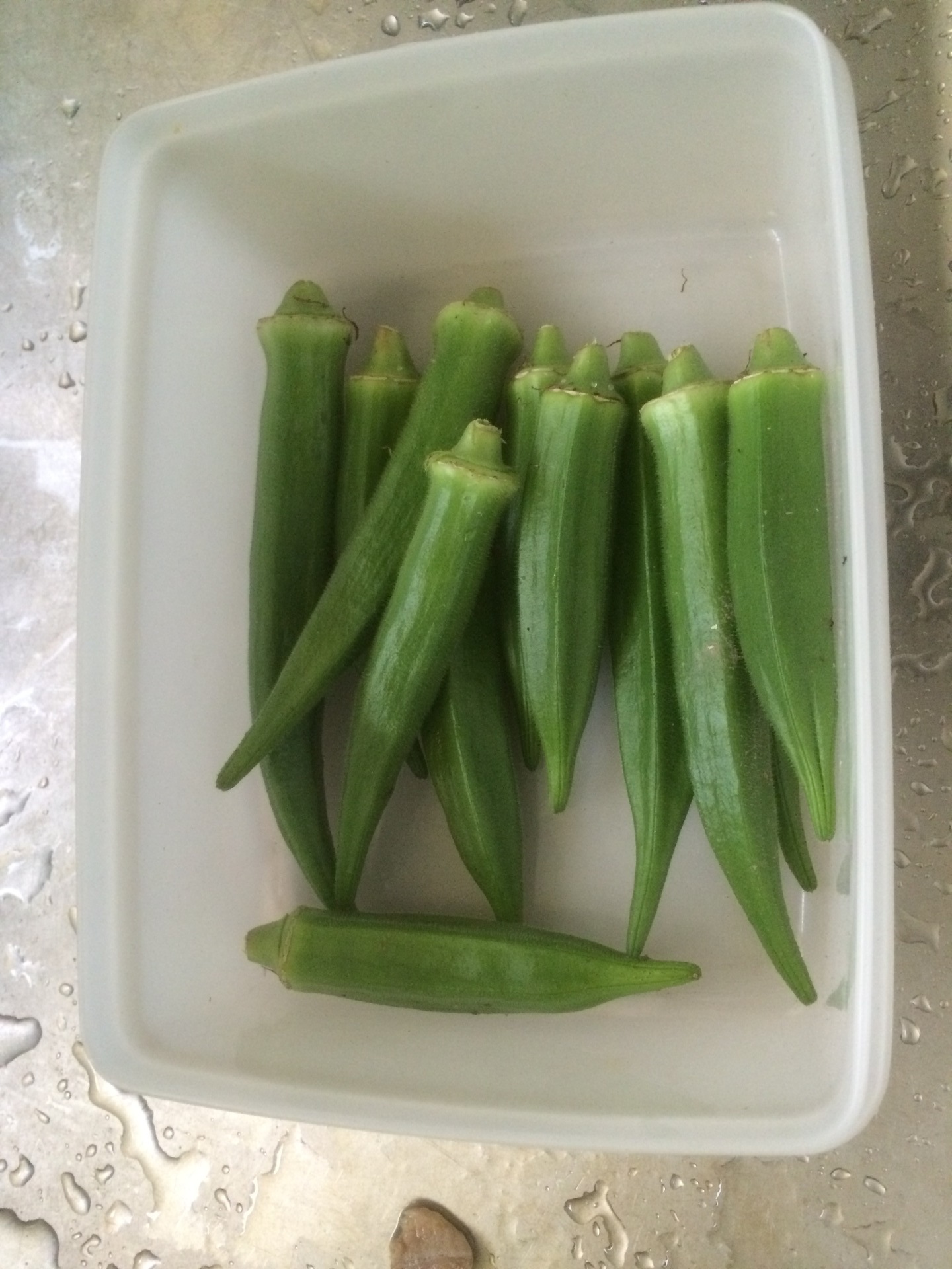 オクラの初収穫: うまい！野菜 脱サラ農家の奮闘記